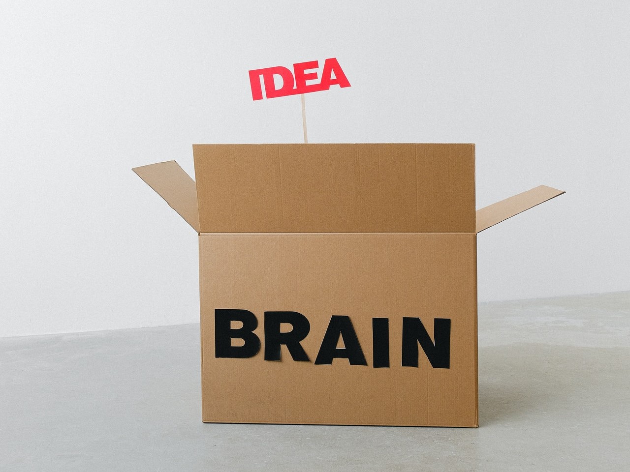 Why You Should Have a Backup Plan? - FSGuru